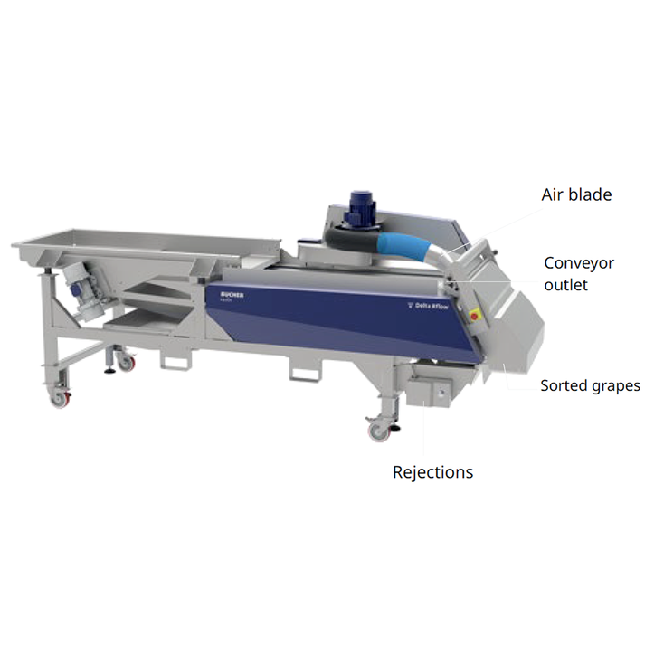 Bucher Vaslin Delta R-Flow Air Blade Sorting Table – Vitis & Winemakers